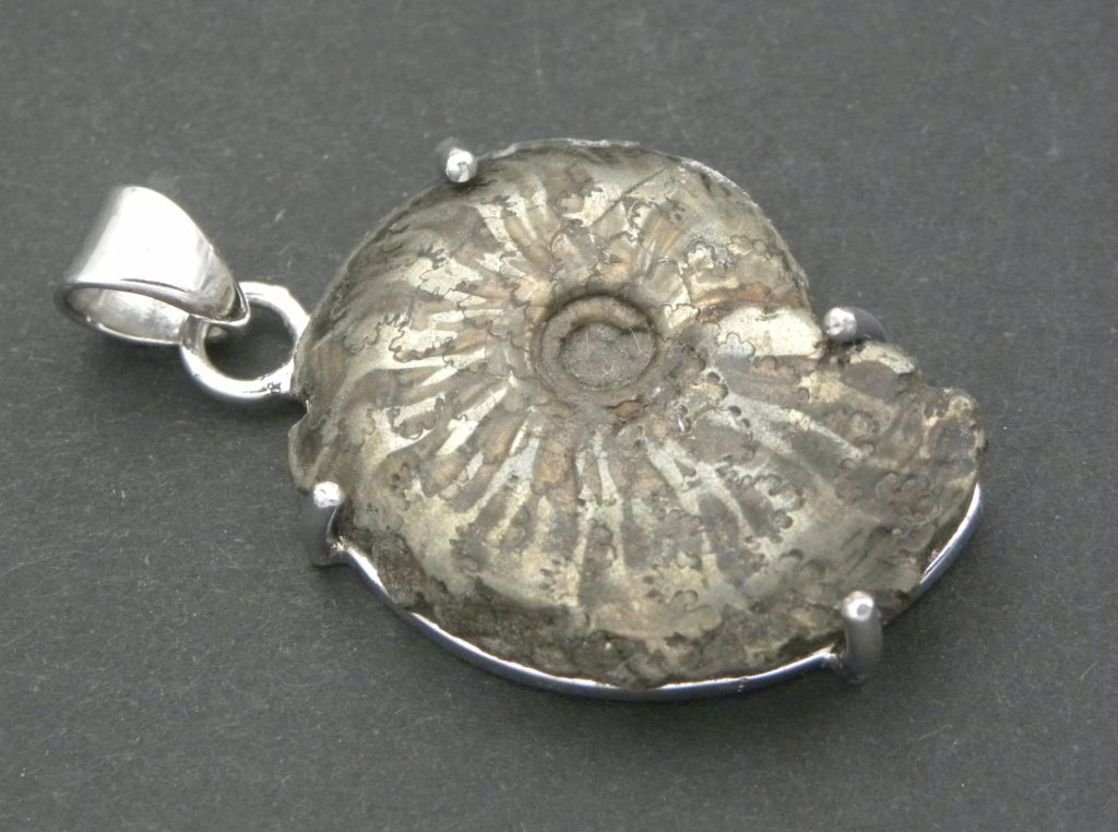 Iron Pyrites Ammonite Pendant set in 925 Sterling Silver